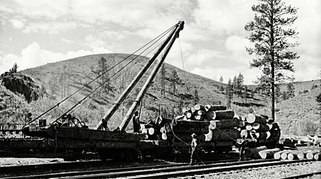 The Founding of the Apache Railway: Building Arizona’s Timber Lifeline ...